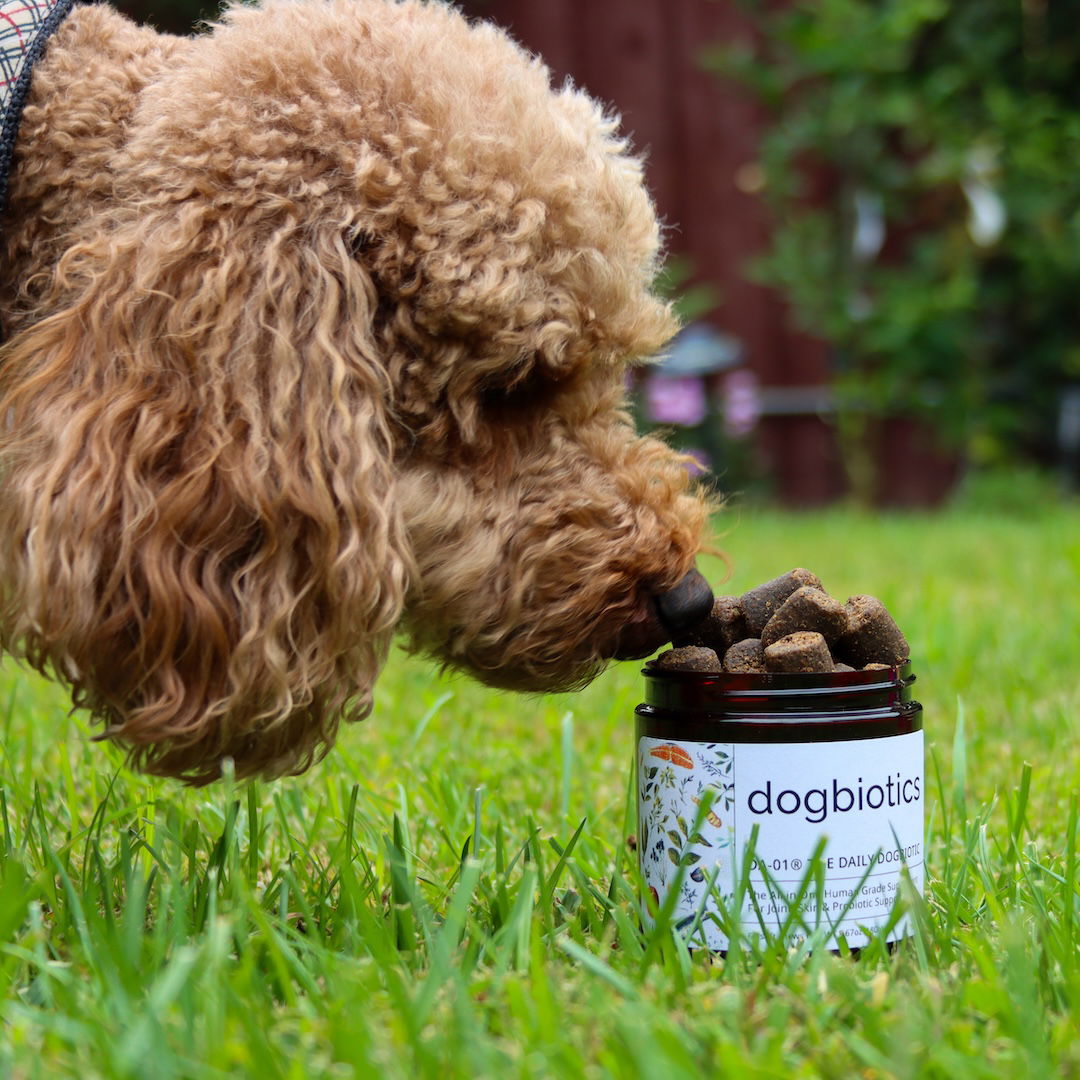 Dogbiotics - Human-Grade Dog Care, Backed By Science