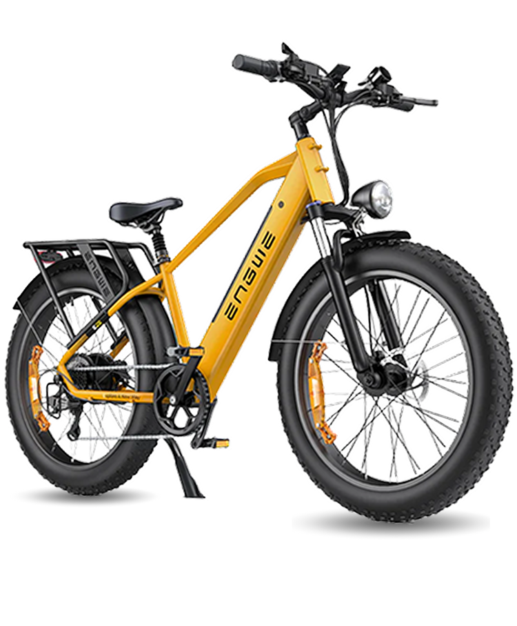 Fatbikeskopen.nl - Alles voor Fatbikes onder één dak