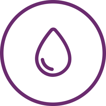 Crunchy Hydration - Sparkling Wellness Water