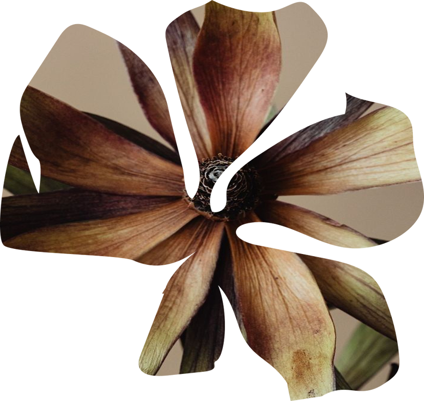 AndBloom The Anna Top Dark grey for Women