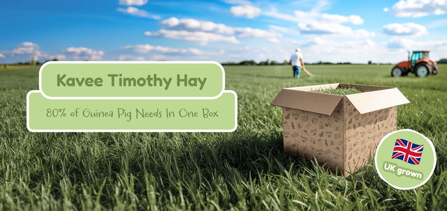 Kavee Guinea Pig Hay