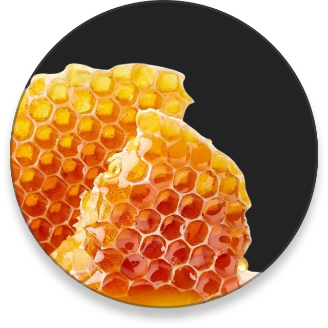 Deodorant – Based Bodyworks