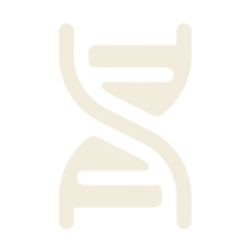 Deodorant – Based Bodyworks