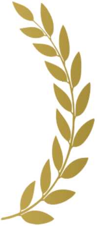 Shipping Info – Based Bodyworks