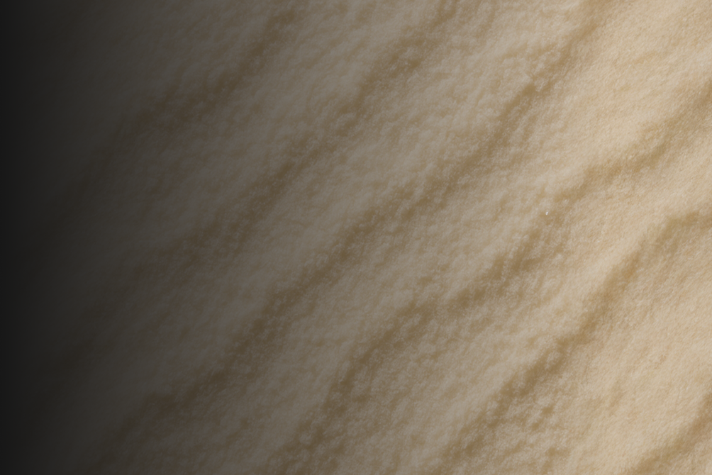 Texture Powder – BASED