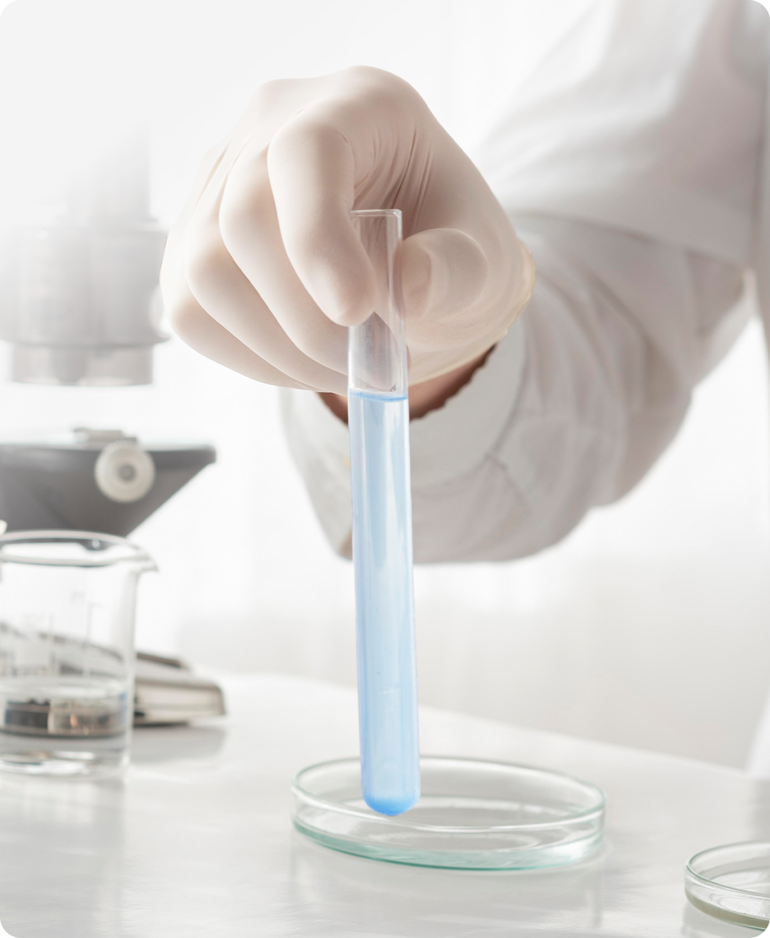 Forge Wrinkle Defense Tallow Balm – Try-forge