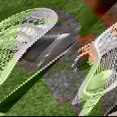 Men's Lacrosse – STX