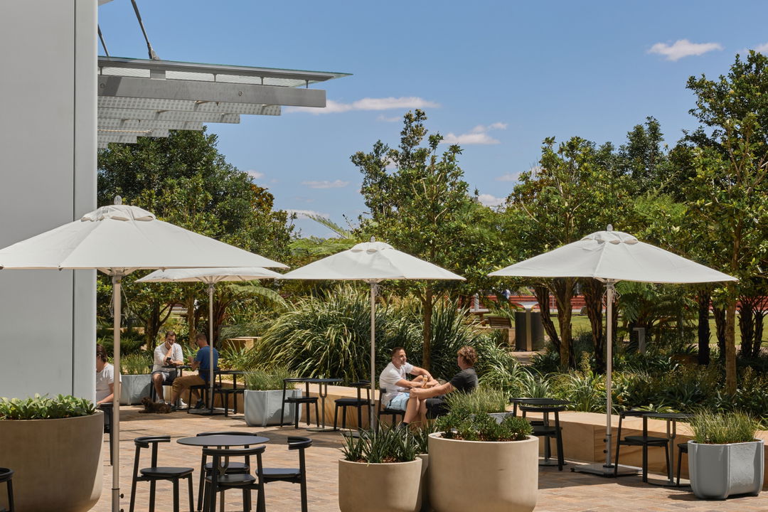 Haven Barangaroo - Best Coffee & Brunch – Haven Coffee