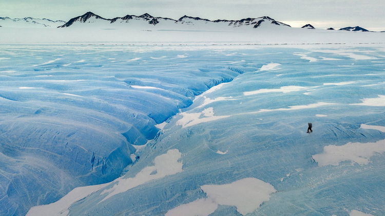 Shackleton Challenges in Antarctica | Polar & Mountaineering Expeditions