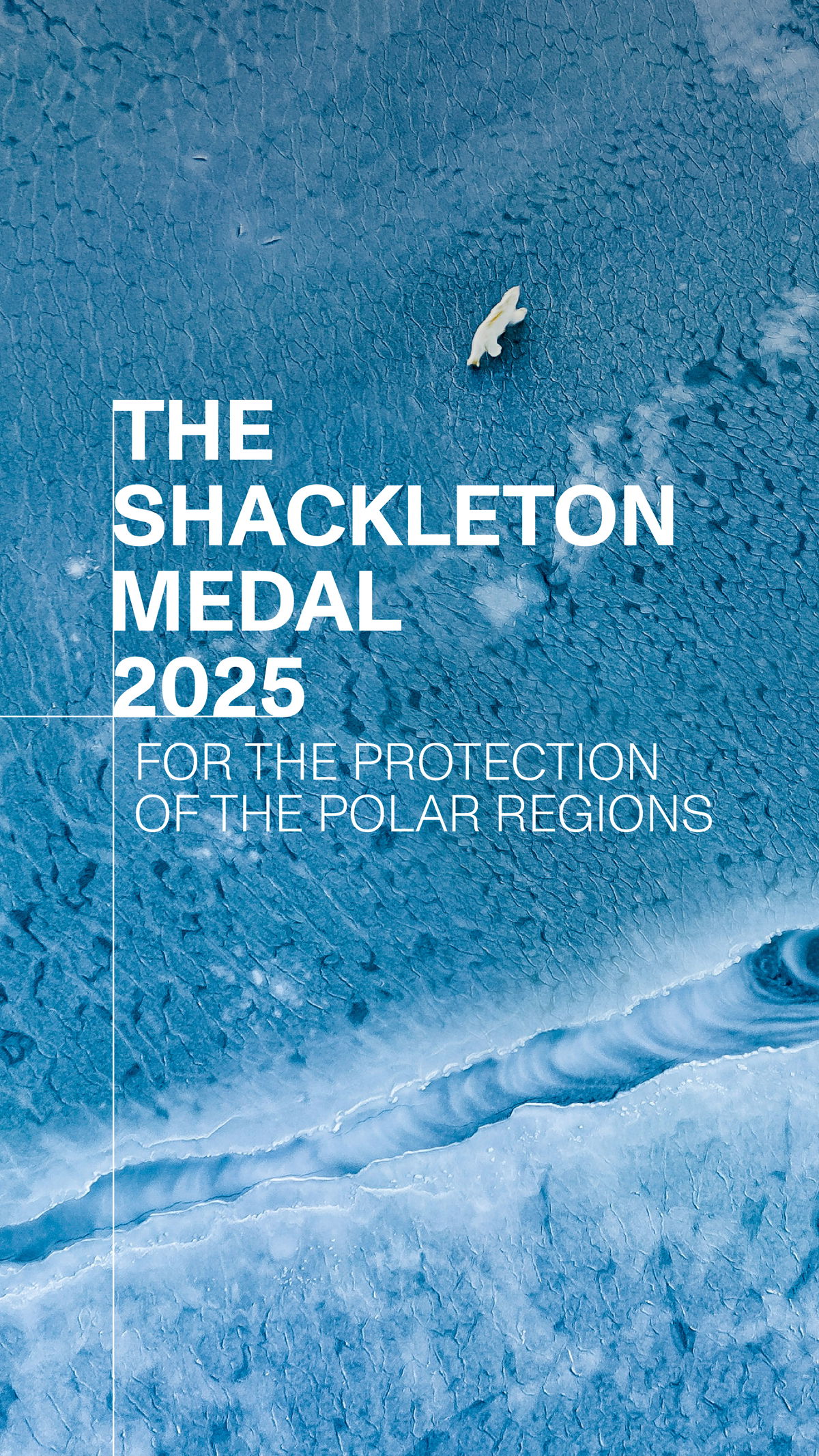 Expedition-Grade Apparel & Travel Experiences | Shackleton