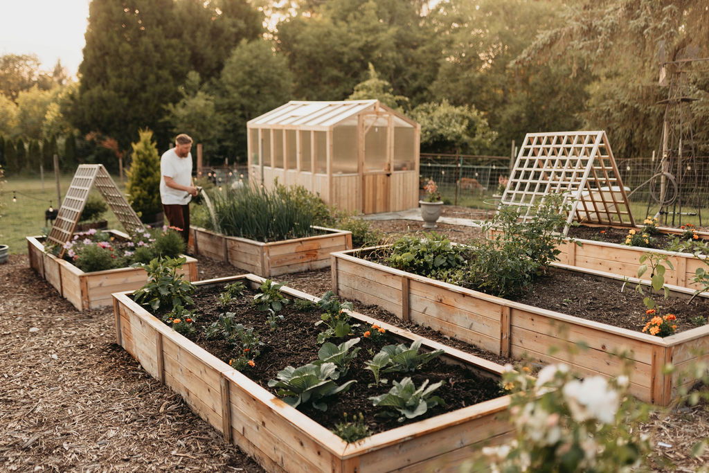 How to Use Cold Frames in Your Garden – Eartheasy