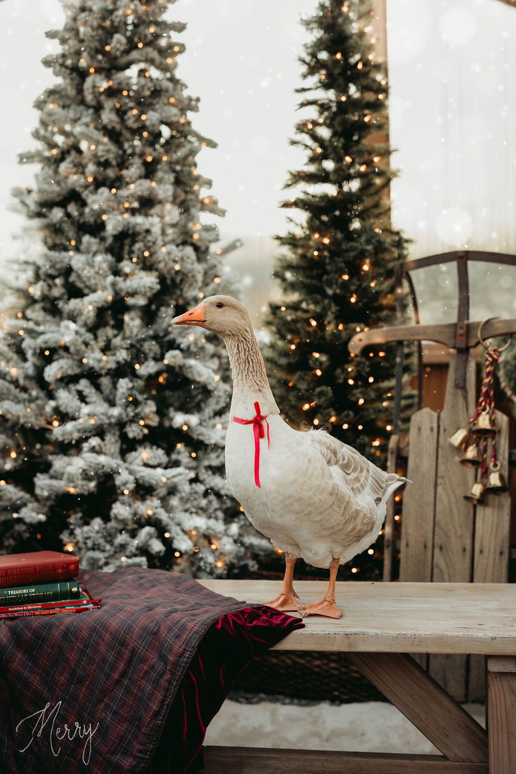 7 Preparedness Tips for Unexpected Power Outages – Eartheasy