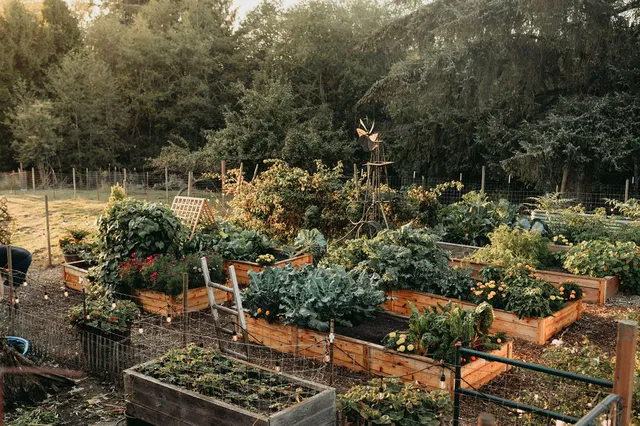 How to Start a Neighborhood Tool Share – Eartheasy