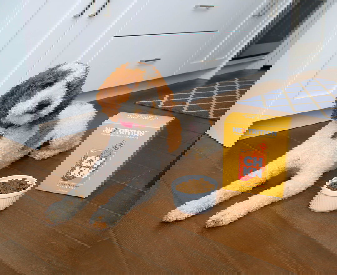 Cold-Pressed Dog Food Trial Packs - Nextrition Pet