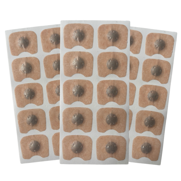 Neusholte Anatomie: Waarom de Vorm van Je Neus Je Ademhaling Beïnvloedt ...