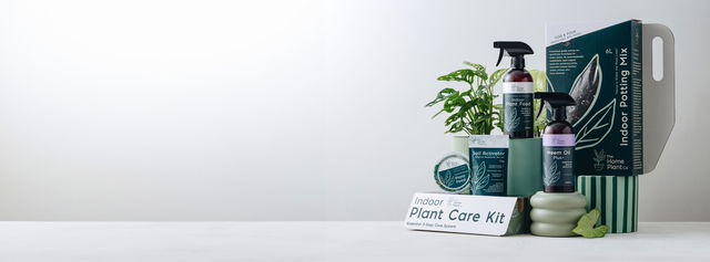 The Home Plant Co - Plant care specialists