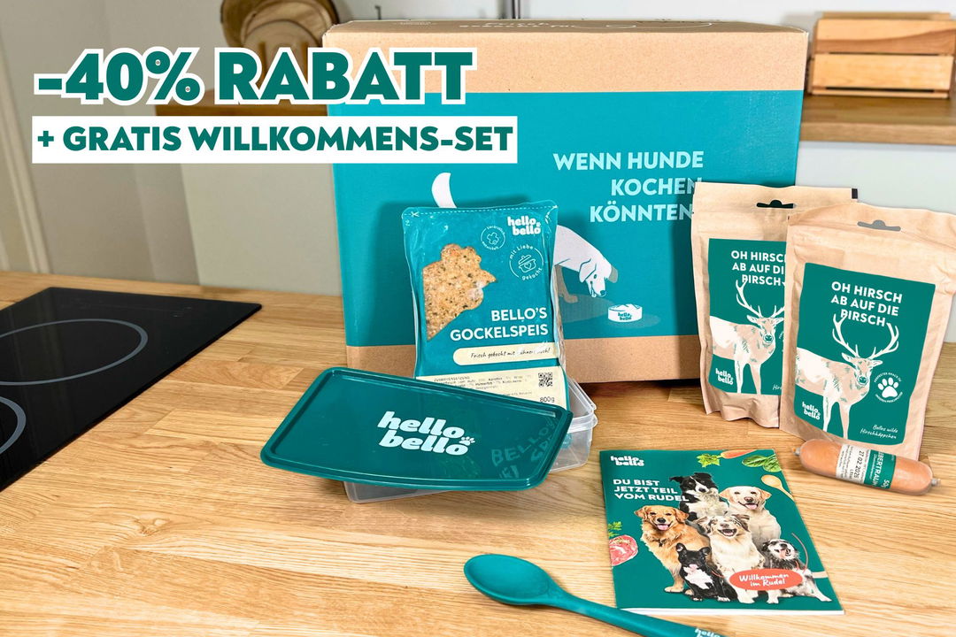 Frisches neues Jahr 2026 - gratis Willkommens-Set – HelloBello