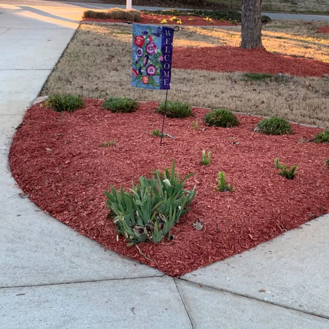 PetraMax Mulch Glue - Keep Your Landscaping Flawless | Limited Time ...