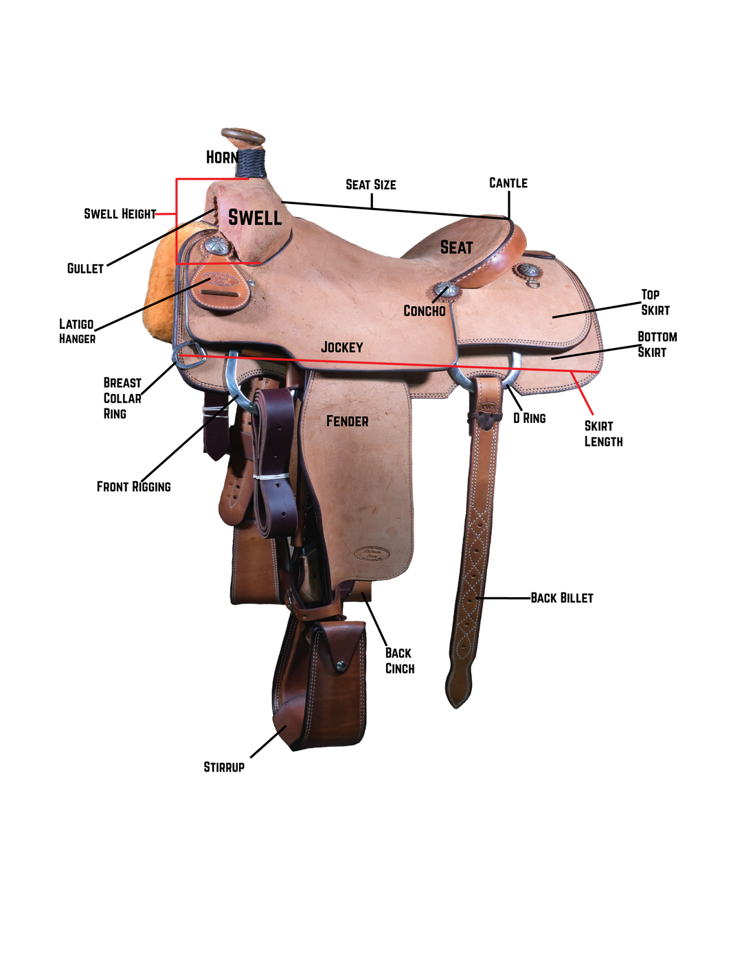 Trent Ward Saddlery