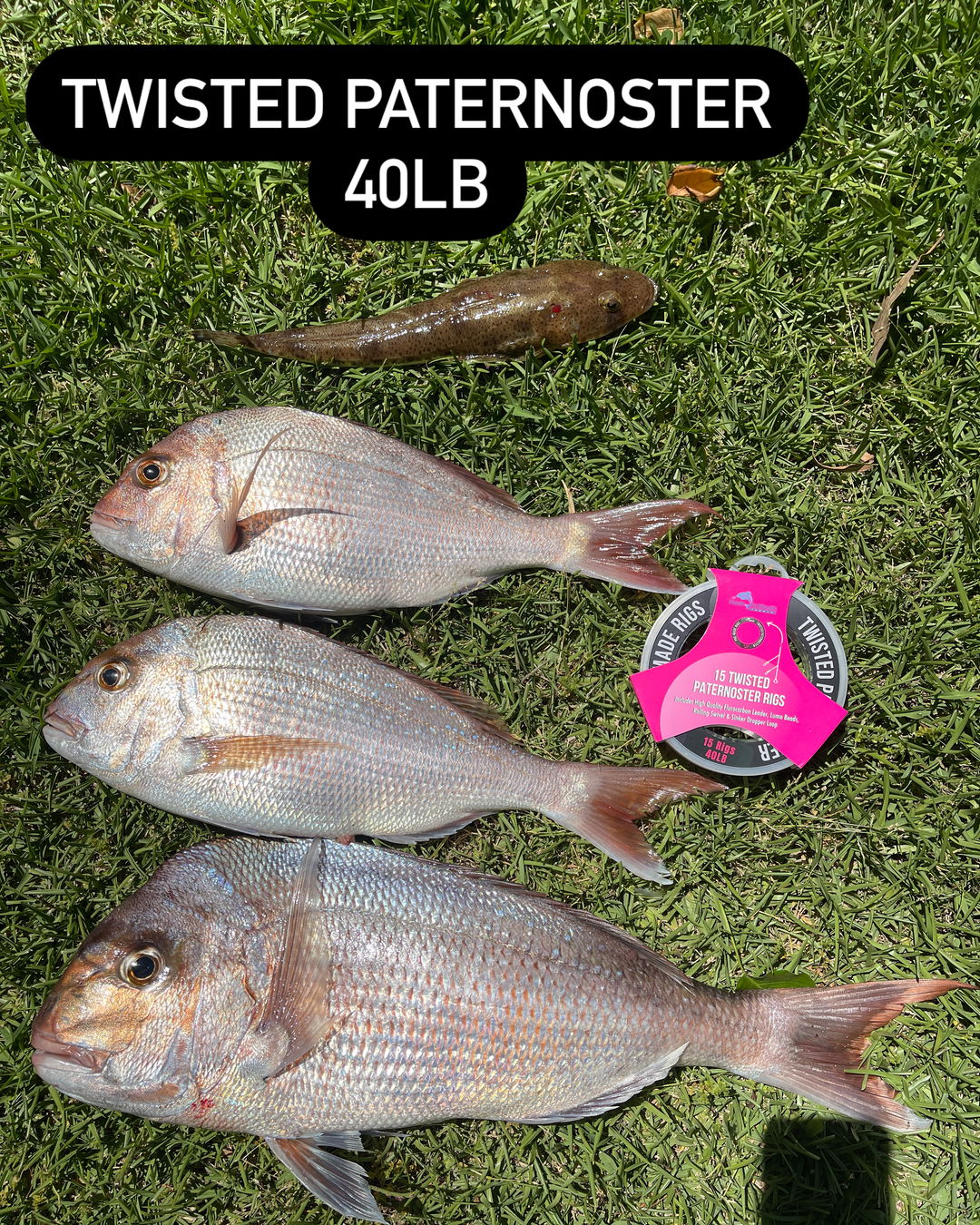 SpoolR Rig Landing Page – Hook in Mouth Tackle