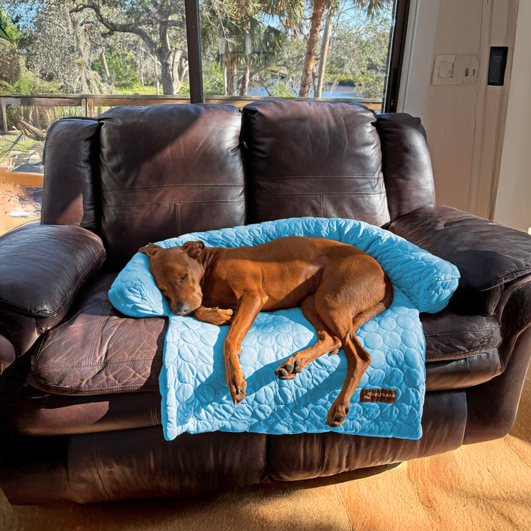 Pelsbarn Cooling Sofa Bed: Keep Your Dog Cool and Comfortable ...