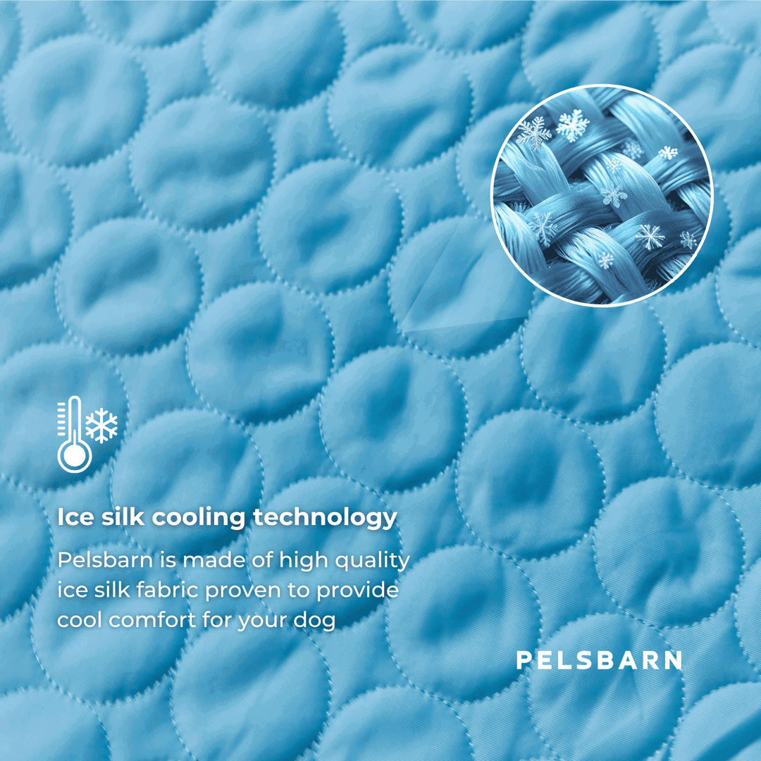 Revolutionary Cooling Mat for Dogs | Vet Recommended & Award-Winning ...