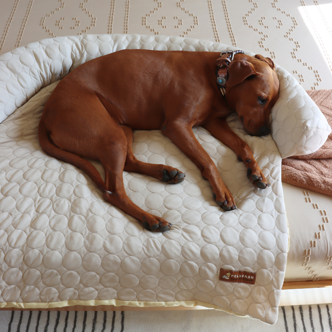 Pelsbarn Cooling Sofa Bed A5