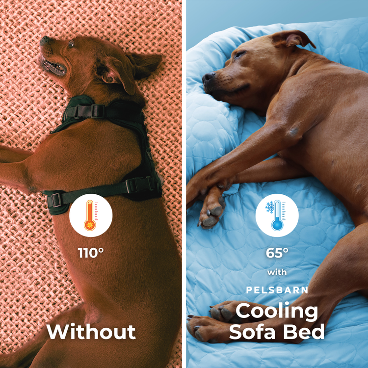 Pelsbarn Cooling Sofa Bed: Keep Your Dog Cool and Comfortable ...
