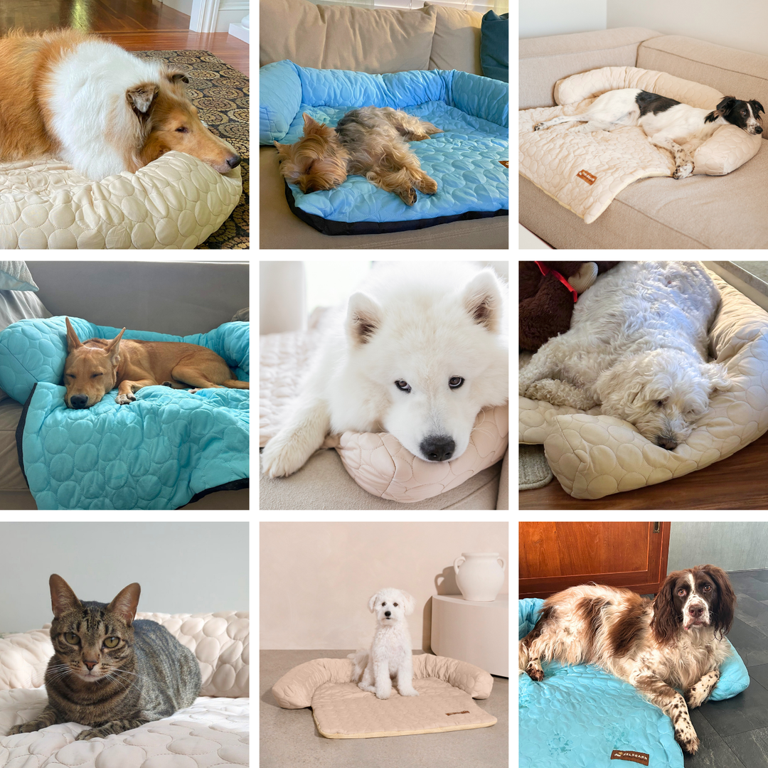 Pelsbarn Cooling Sofa Bed A5