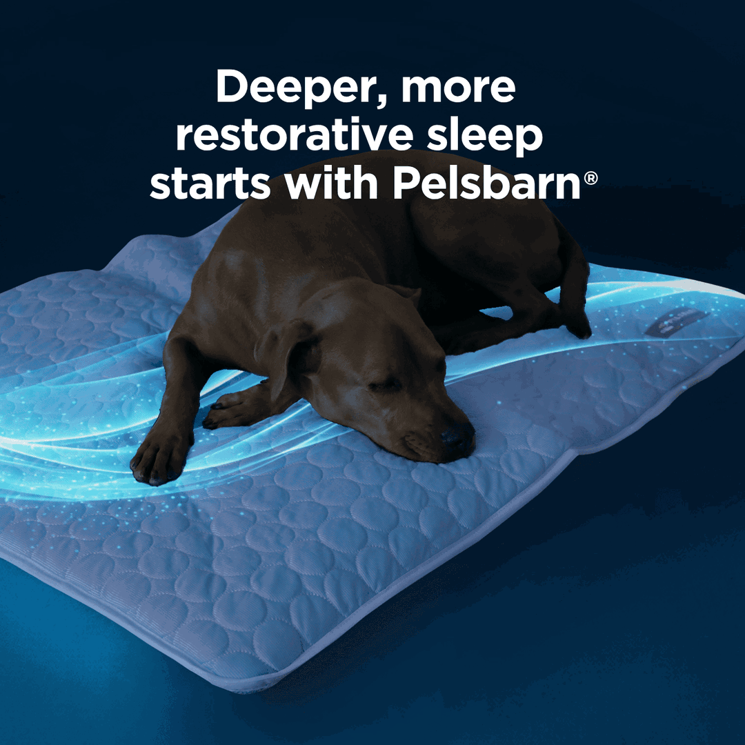 Revolutionary Cooling Mat for Dogs | Vet Recommended & Award-Winning ...