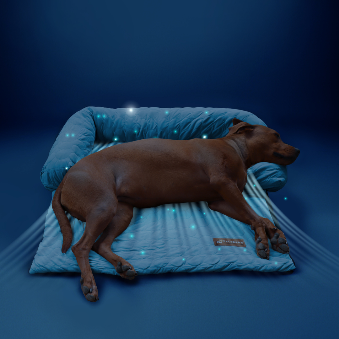 Pelsbarn Cooling Sofa Bed A5