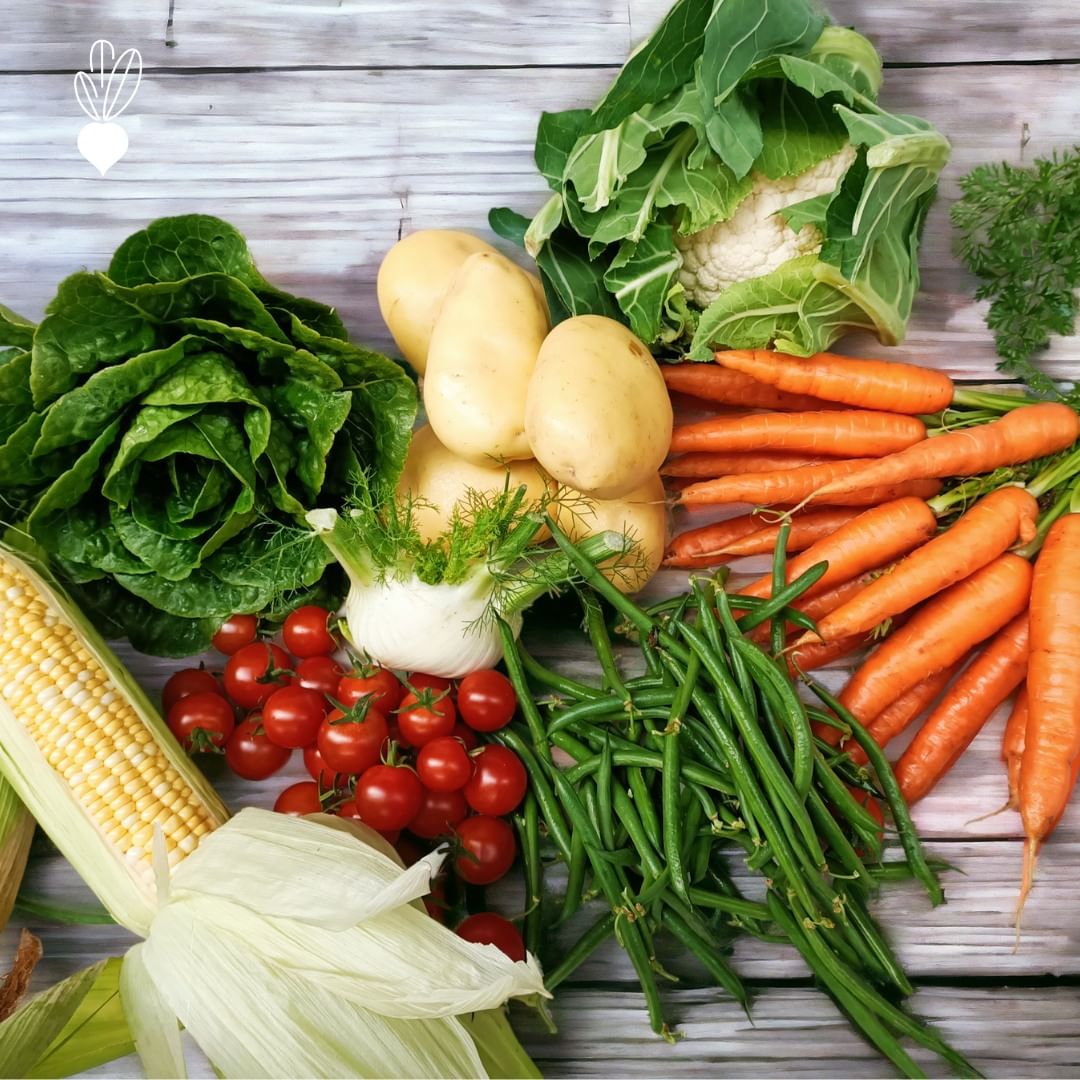 Veggie Boxes — Organic Farmers Veggie Box