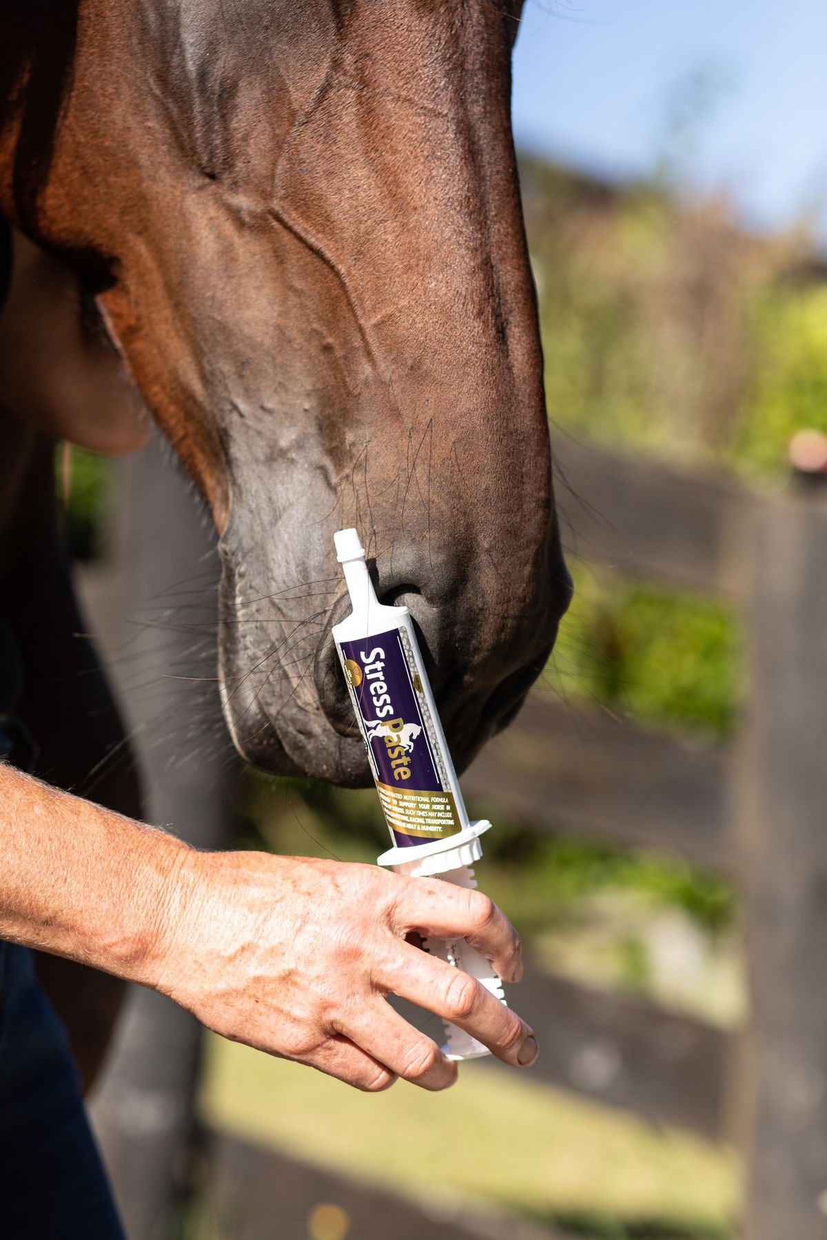Stress Paste – Poseidon Animal Health USA